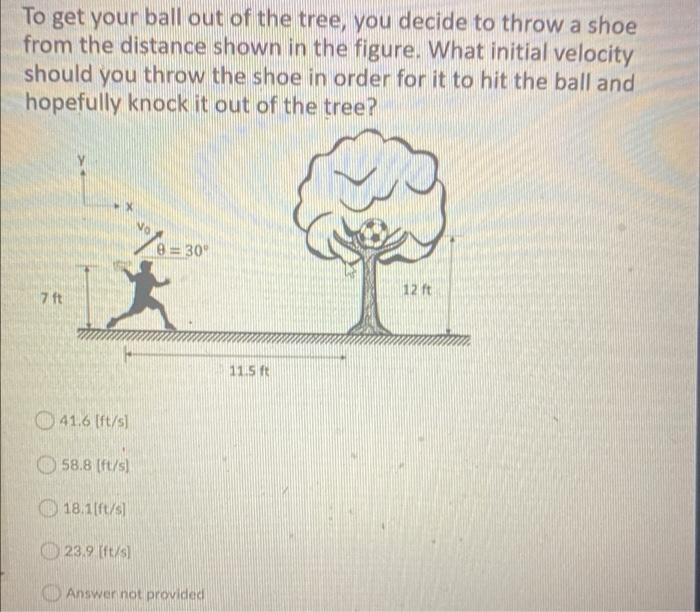 Solved To get your ball out of the tree, you decide to throw | Chegg.com