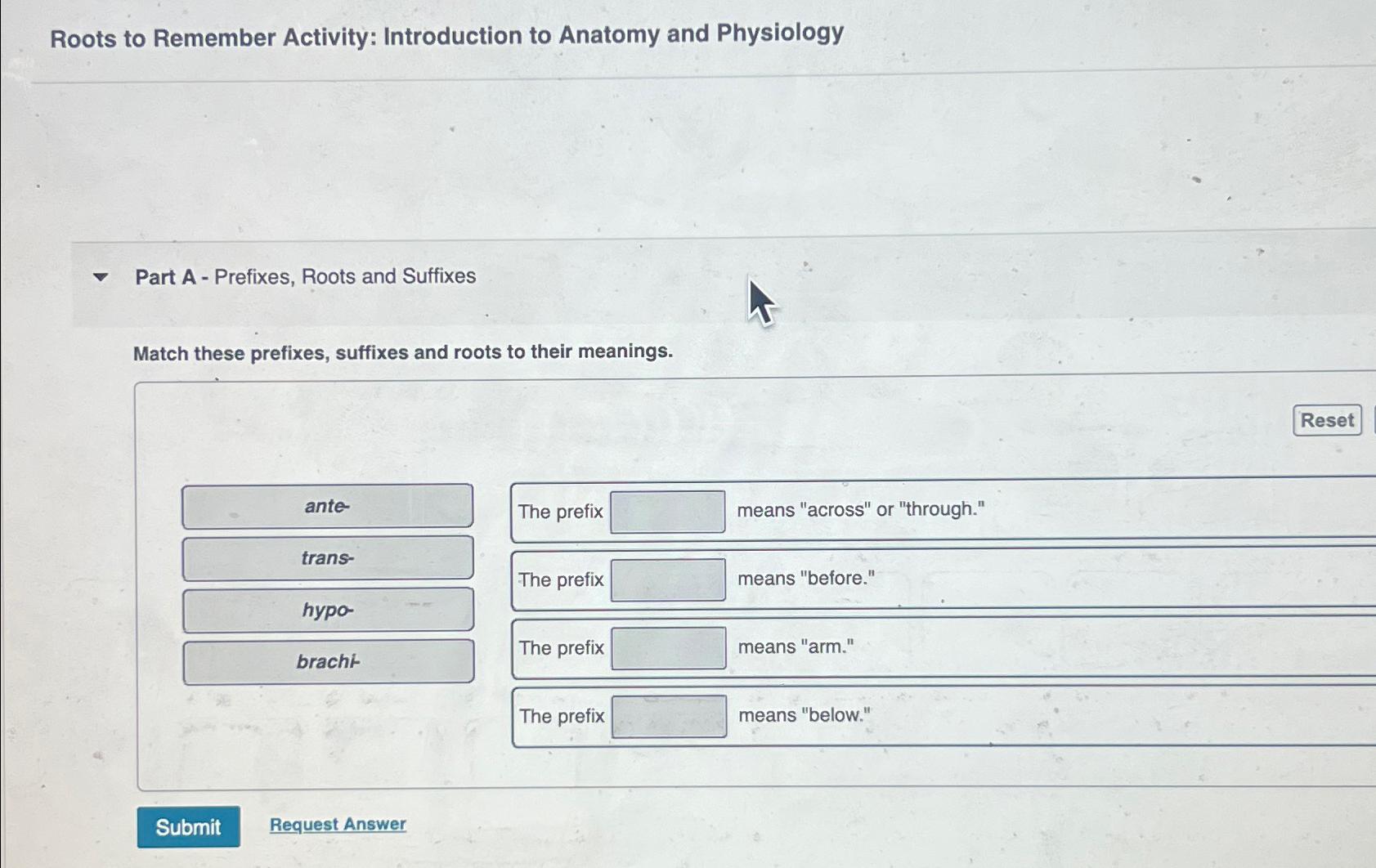 Solved Roots to Remember Activity: Introduction to Anatomy | Chegg.com