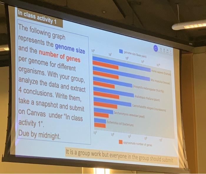 The following graph represents the genome size and | Chegg.com