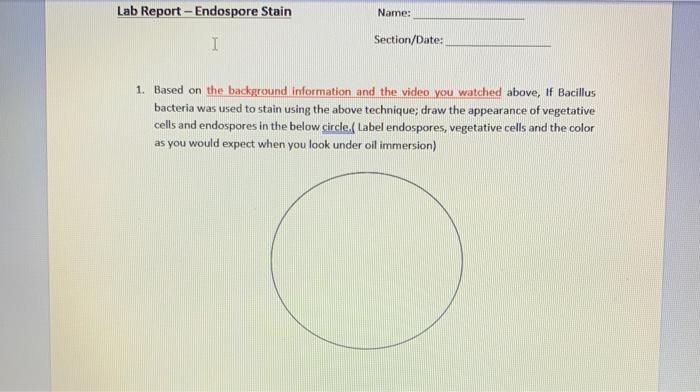 Solved Lab Report - Endospore Stain Name: I Section/Date: 1. | Chegg.com