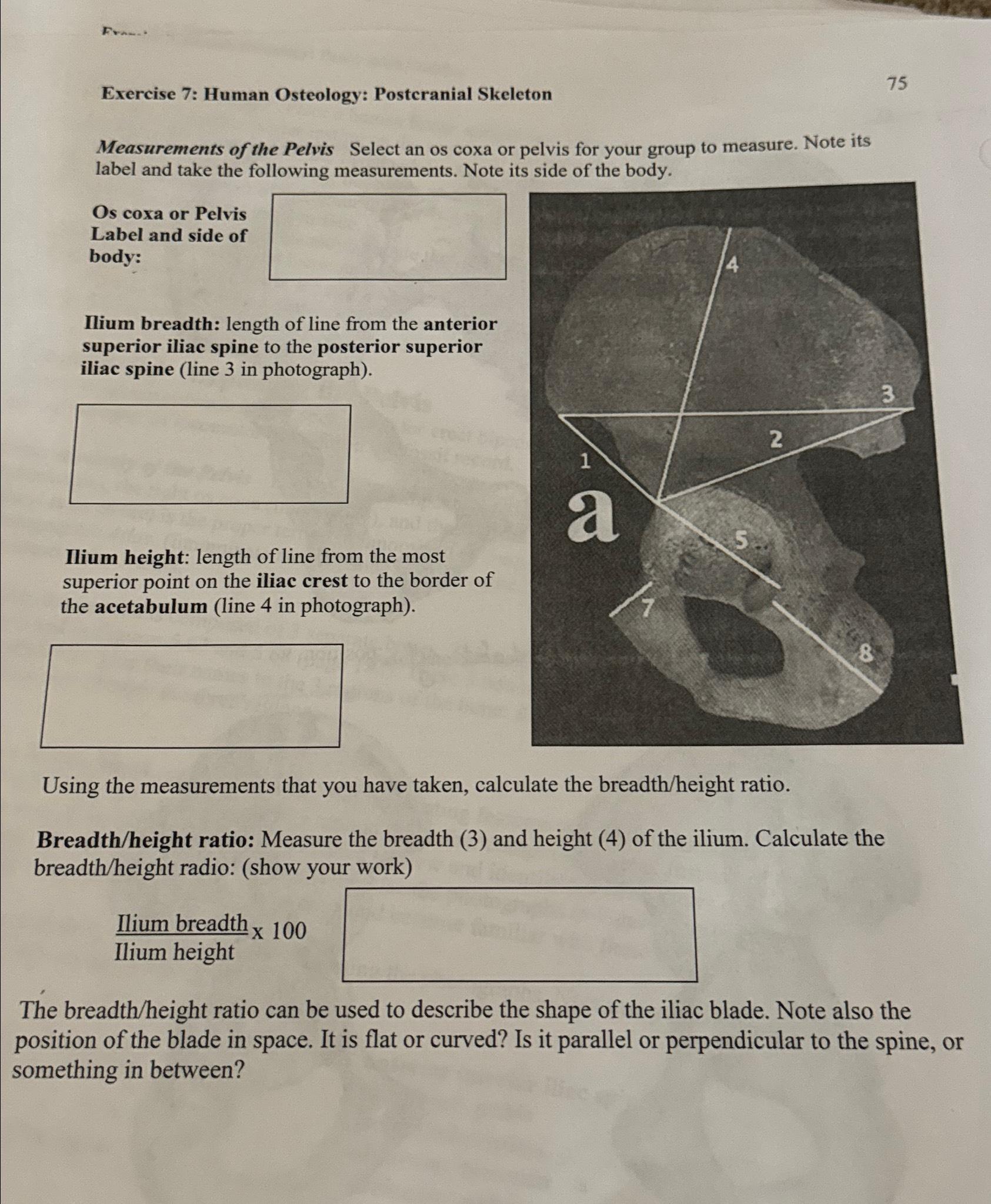 Solved Exercise 7: Human Osteology: Postcranial | Chegg.com