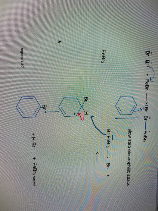 Solved QUESTION 34 Which is the best mechanism for the | Chegg.com
