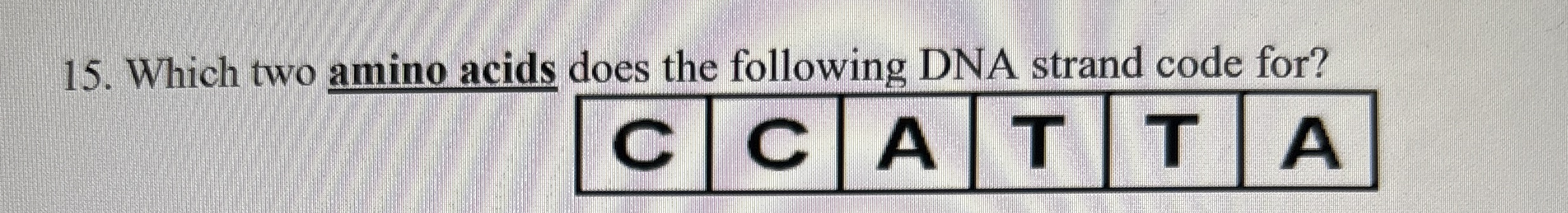 Solved Which two amino acids does the following DNA strand | Chegg.com
