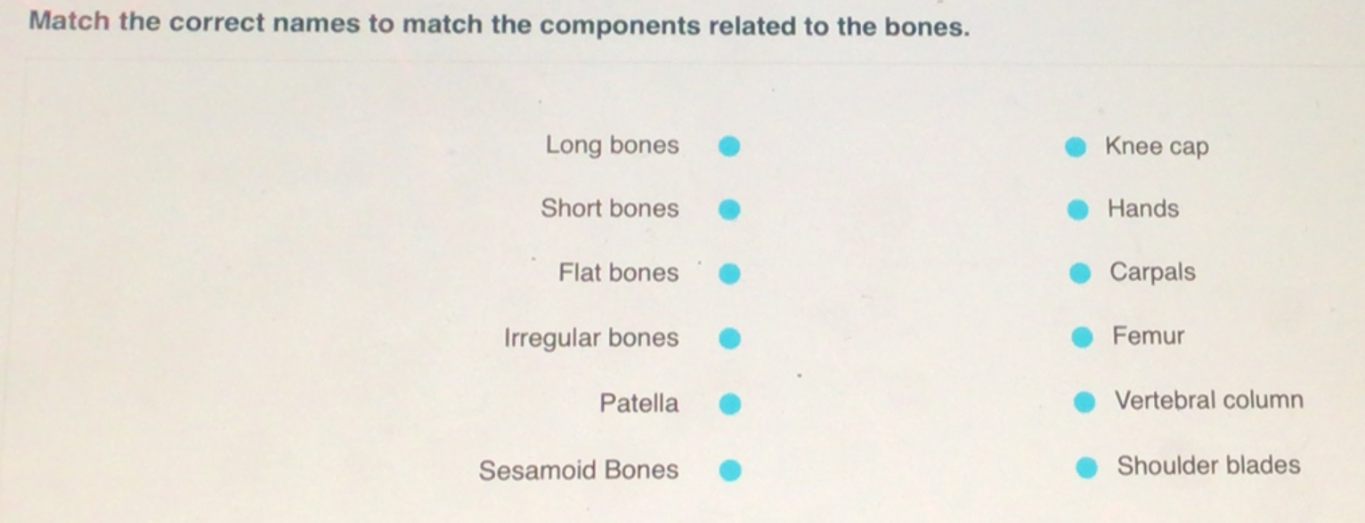 Solved Match the correct names to match the components | Chegg.com