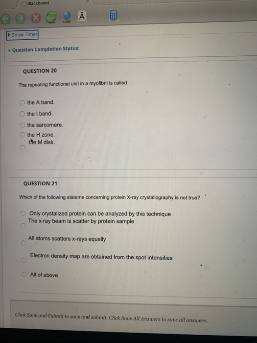 Solved Blackboard A → Show Timer Question Completion Status: | Chegg.com