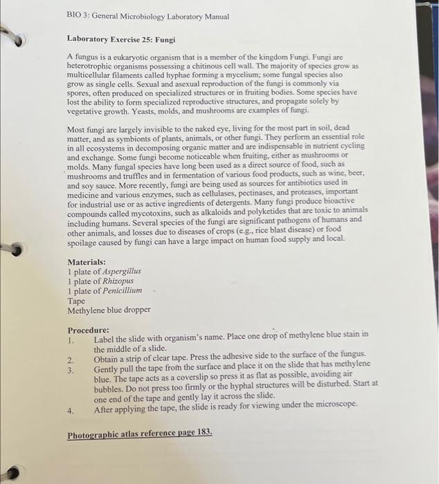 Solved BIO 3: General Microbiology Laboratory Manual | Chegg.com