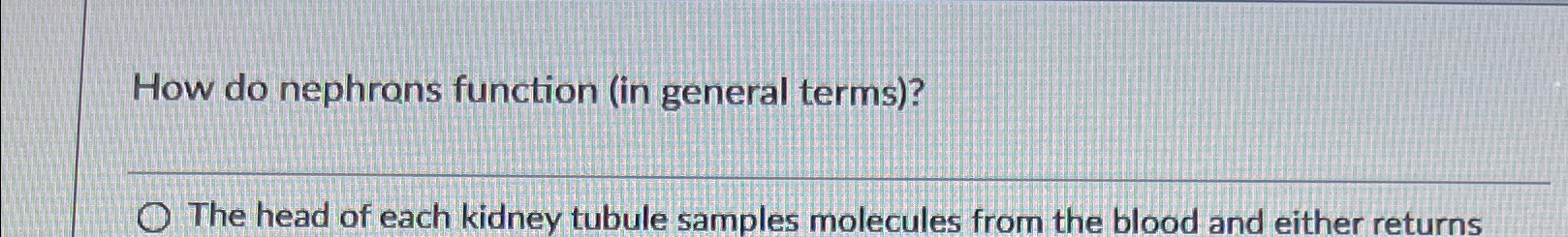 Solved How do nephrons function (in general terms)?The head | Chegg.com