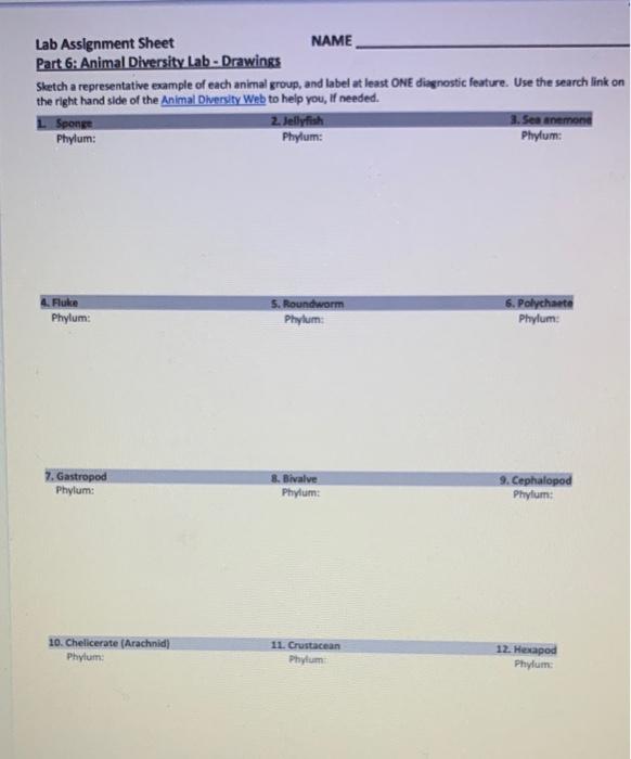 Lab Assignment Sheet NAME Part 6: Animal Diversity | Chegg.com