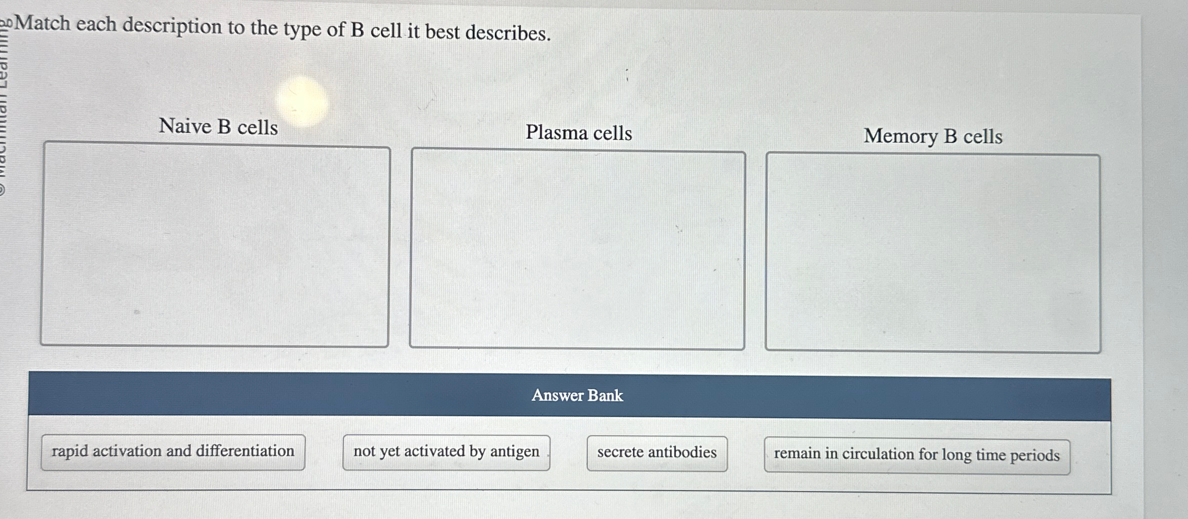 Solved Match each description to the type of B cell it best | Chegg.com
