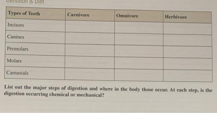 Solved & Diet Types of Teeth Carnivore Omnivore Herbivore | Chegg.com