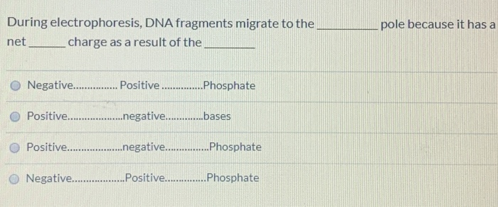 Solved pole because it has a During electrophoresis, DNA | Chegg.com