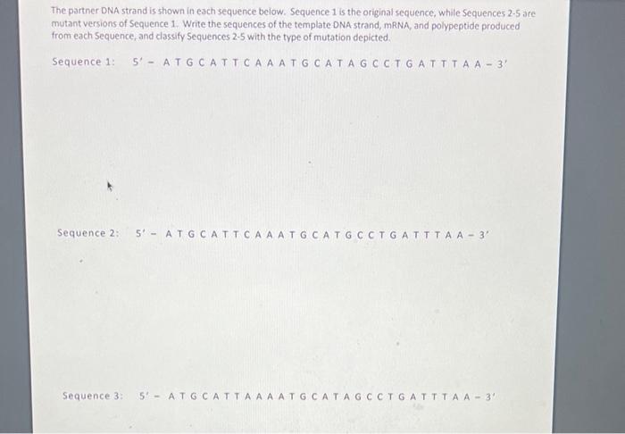 Solved The partner DNA strand is shown in each sequence | Chegg.com