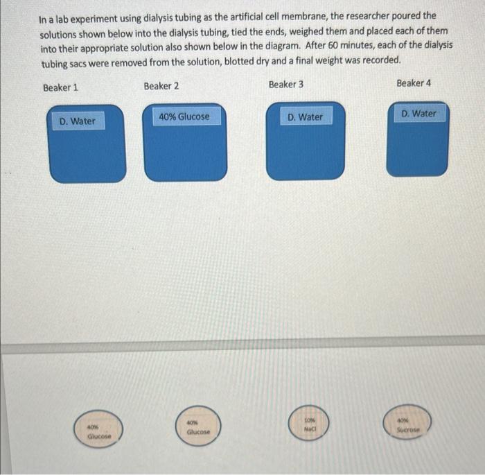 Solved In a lab experiment using dialysis tubing as the | Chegg.com