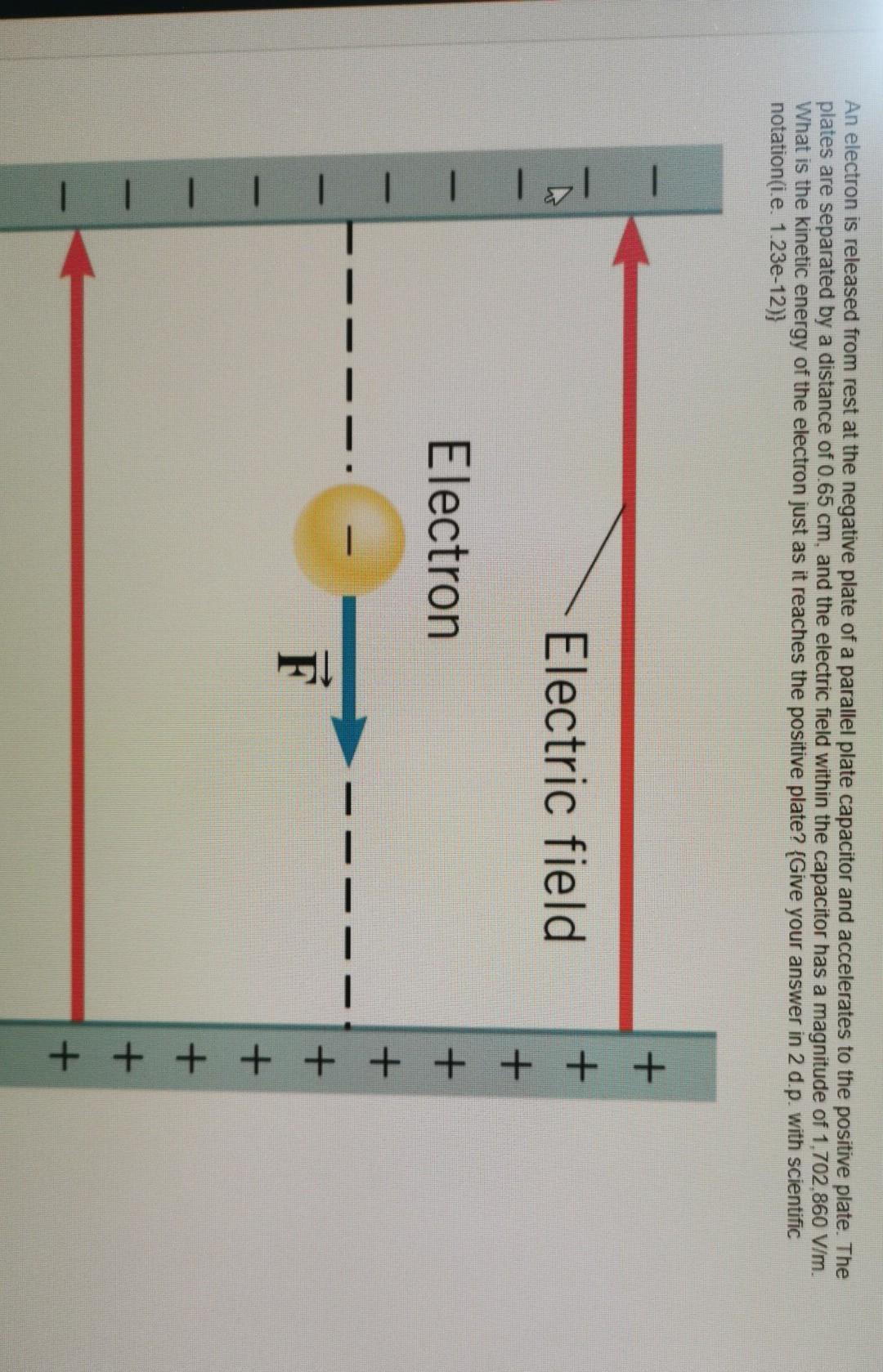 Solved An electron is released from rest at the negative | Chegg.com