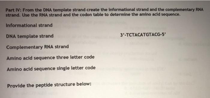 Solved Part IV: From the DNA template strand create the | Chegg.com