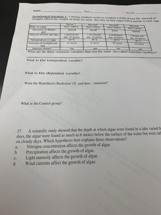 A Biologist Set Up An Experiment To Study In Mice Study Poster a-biologist-set-up-an-experiment-to-study-in-mice-study-poster
