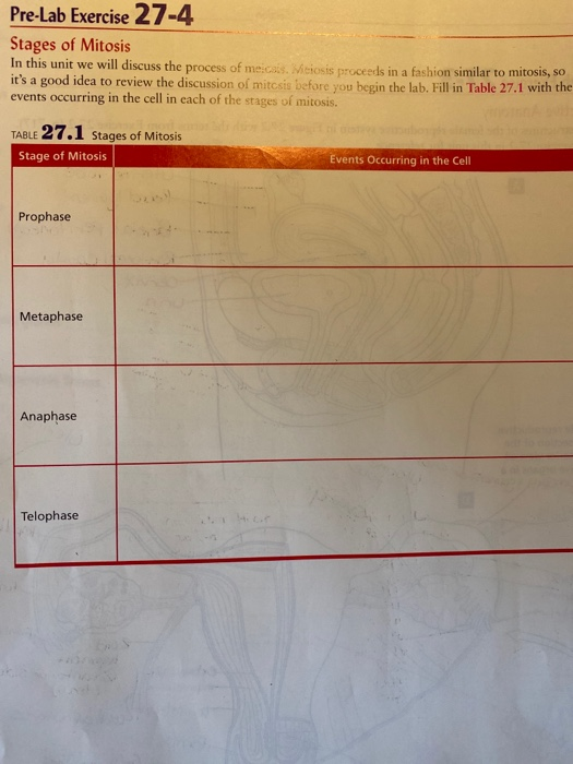 Solved Pre-Lab Exercise 27 Pre-lat Read Pre- Key Terms You | Chegg.com