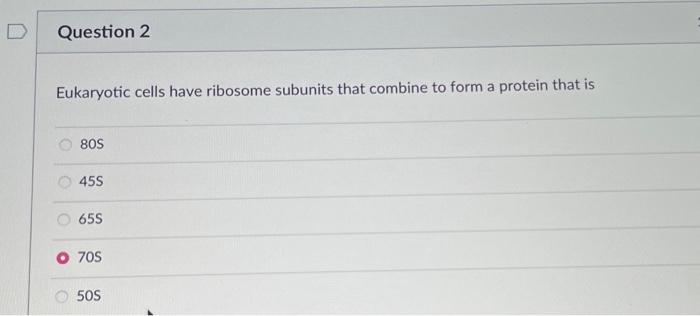 Solved Eukaryotic cells have ribosome subunits that combine | Chegg.com