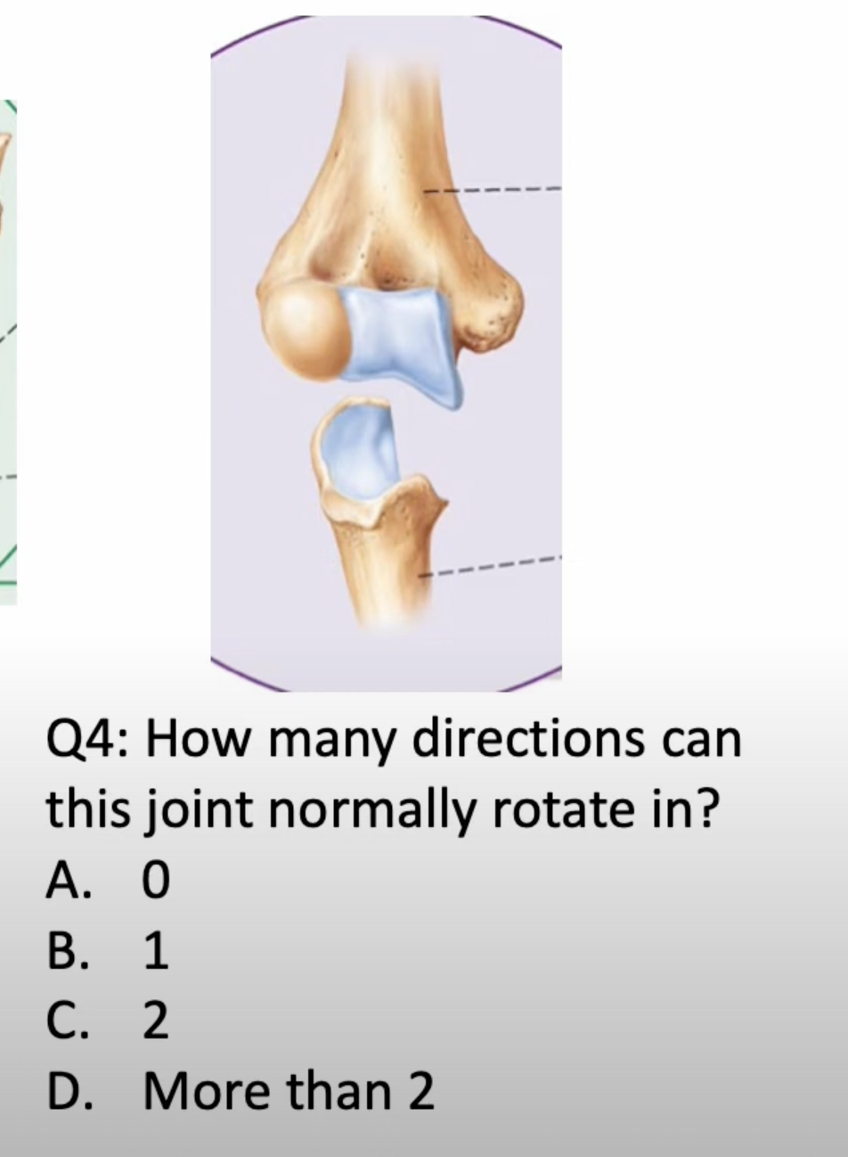 Q4: How many directions canthis joint normally rotate | Chegg.com