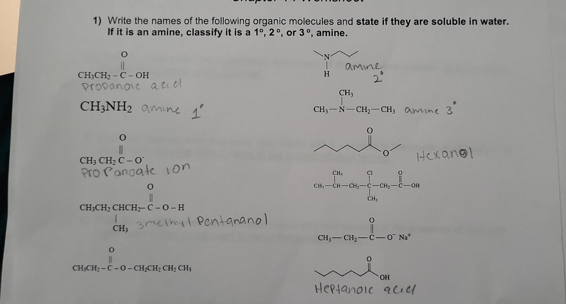 Solved If it is an amine, classify it is a 1∘,2∘, or 3∘, | Chegg.com