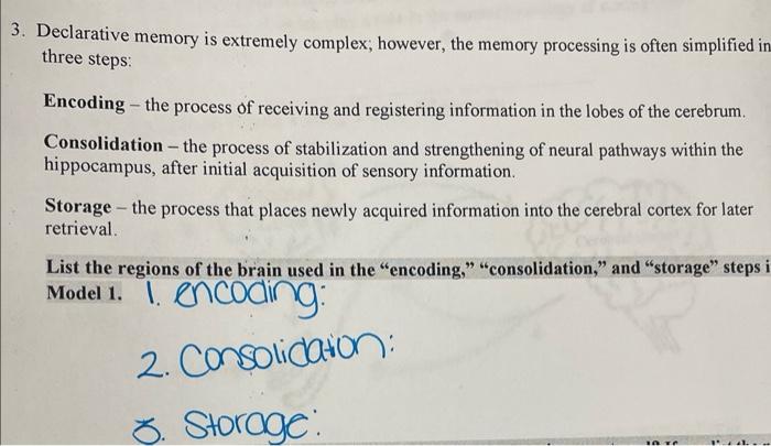 Solved 3. Declarative memory is extremely complex; however, | Chegg.com