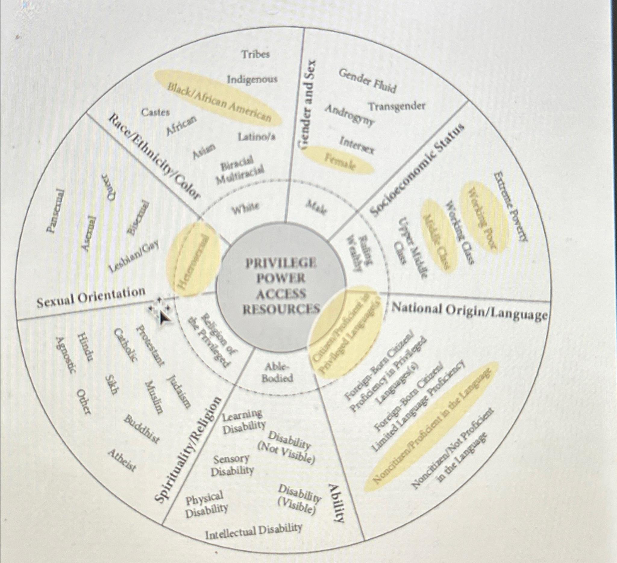 Solved Identity privilege, power and depression are context, | Chegg.com
