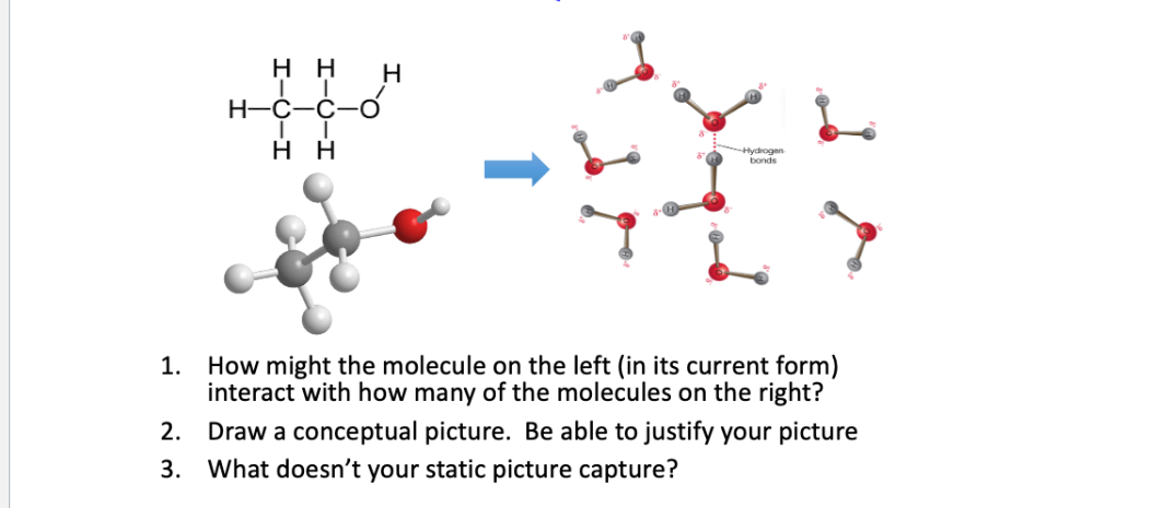 Solved Η Η H H-C-C 1 Η Η dog bonds 1. How might the molecule | Chegg.com