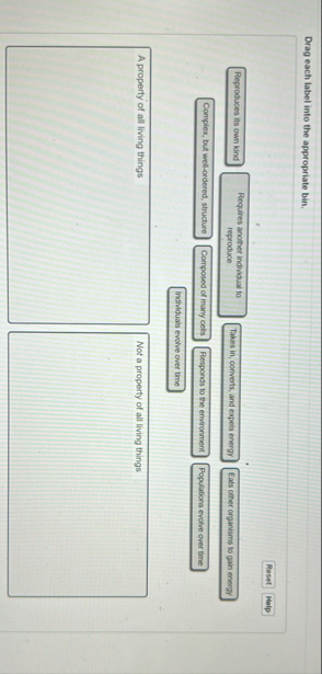 Solved Drag each label into the appropriate bin.HelpRequires | Chegg.com