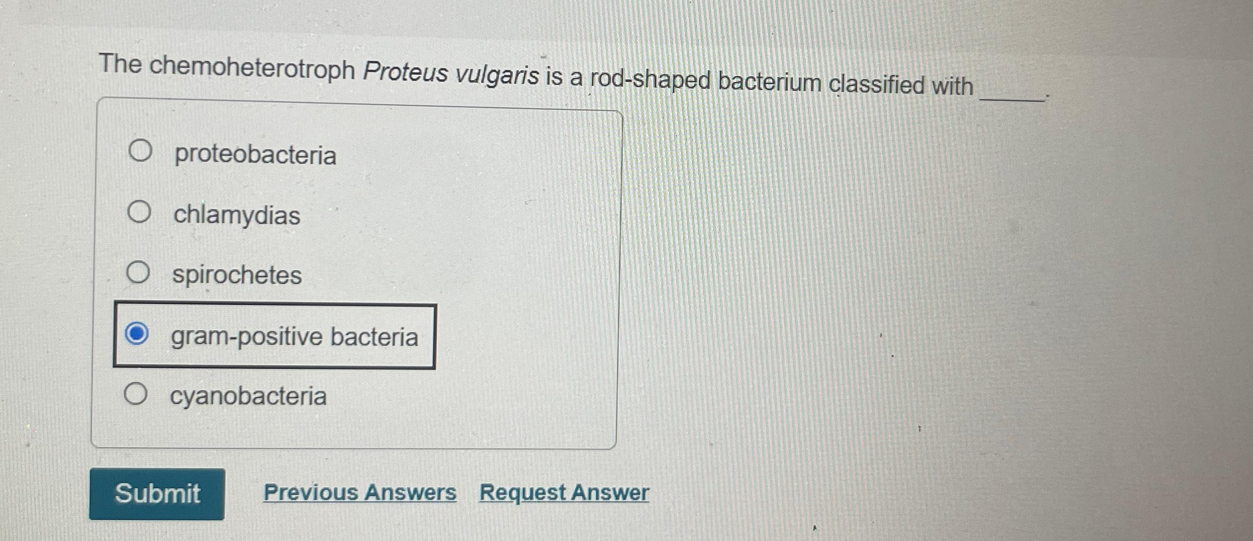 Solved The chemoheterotroph Proteus vulgaris is a rod-shaped | Chegg.com