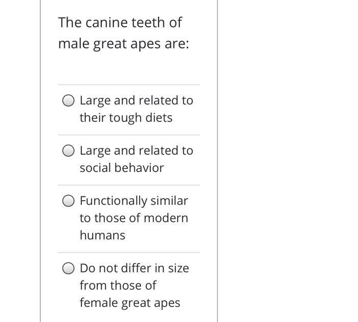 Solved The canine teeth of male great apes are: Large and | Chegg.com