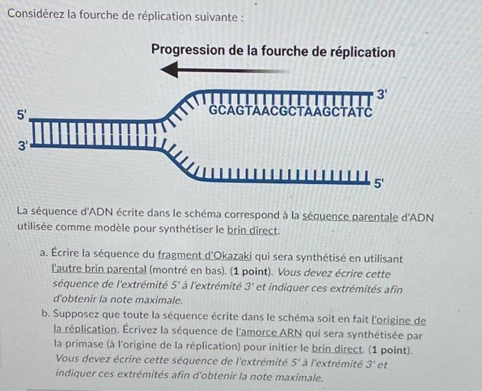 Solved Considérez la fourche de réplication suivante: La | Chegg.com