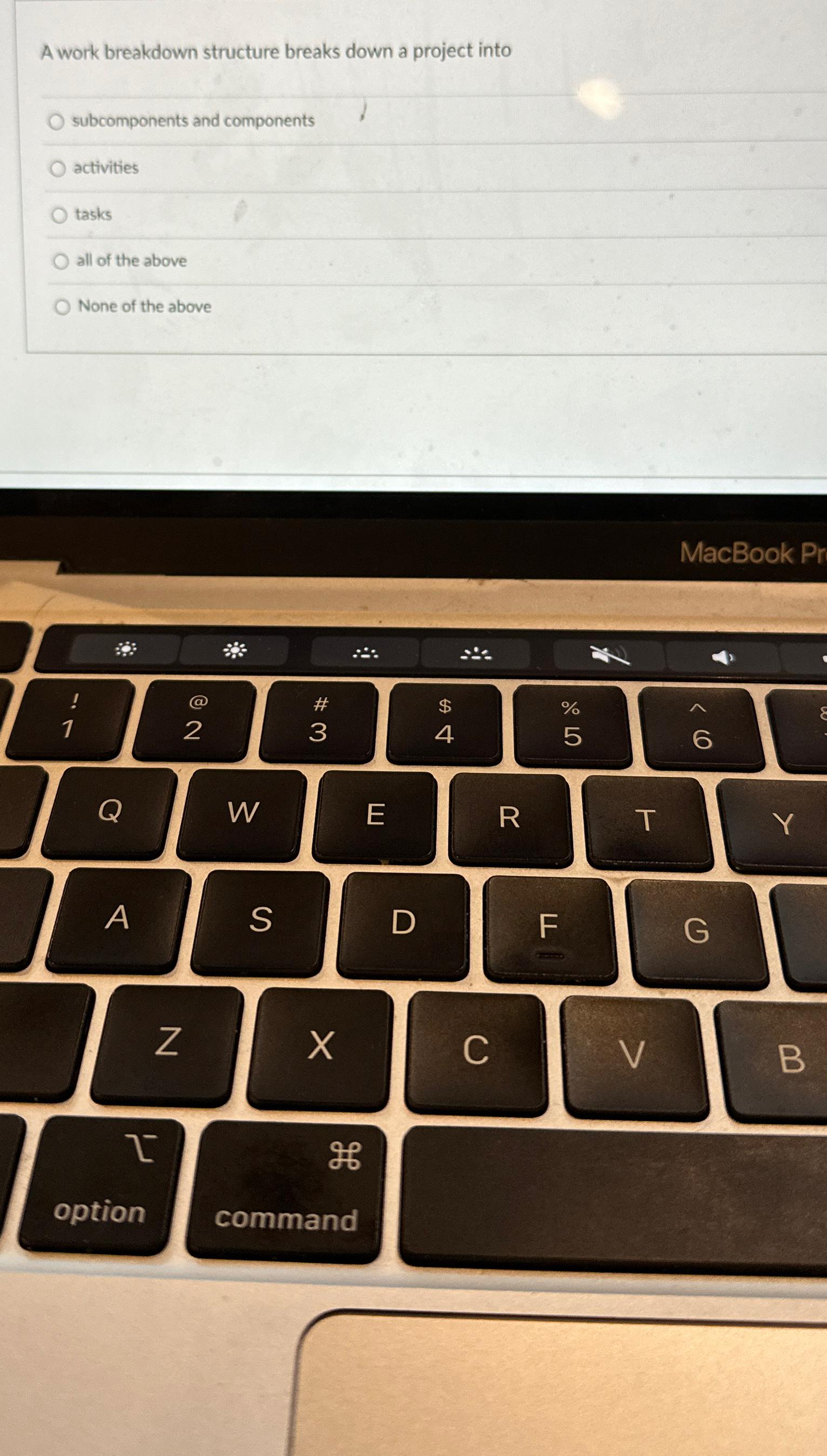 Solved A work breakdown structure breaks down a project | Chegg.com