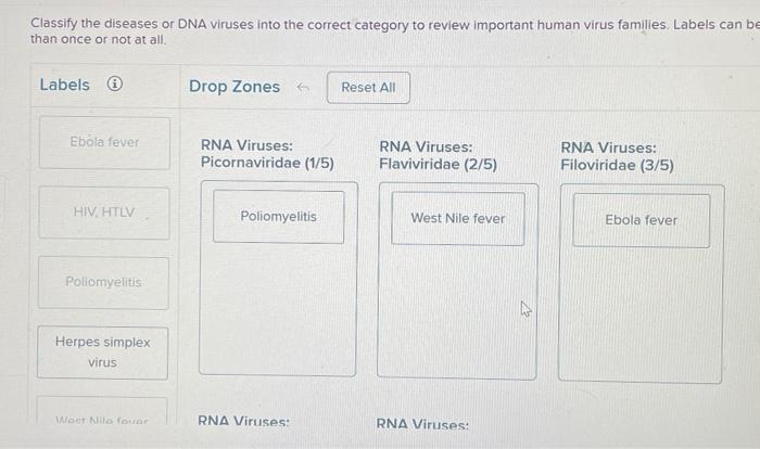 Solved Classify the diseases or DNA viruses into the correct | Chegg.com