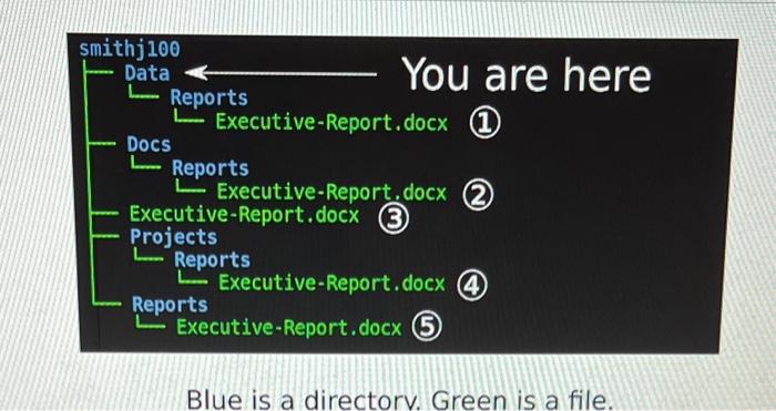 Solved ls -l | Chegg.com