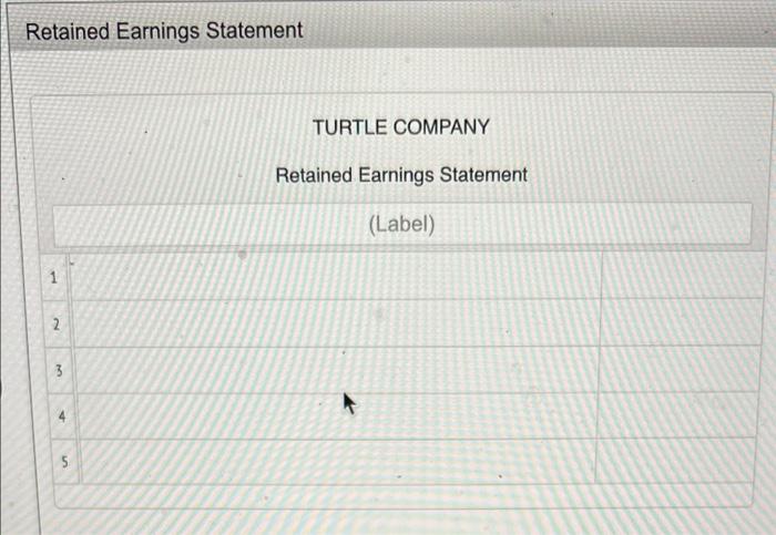 Solved Turtle Company has prepared the following adjusted | Chegg.com