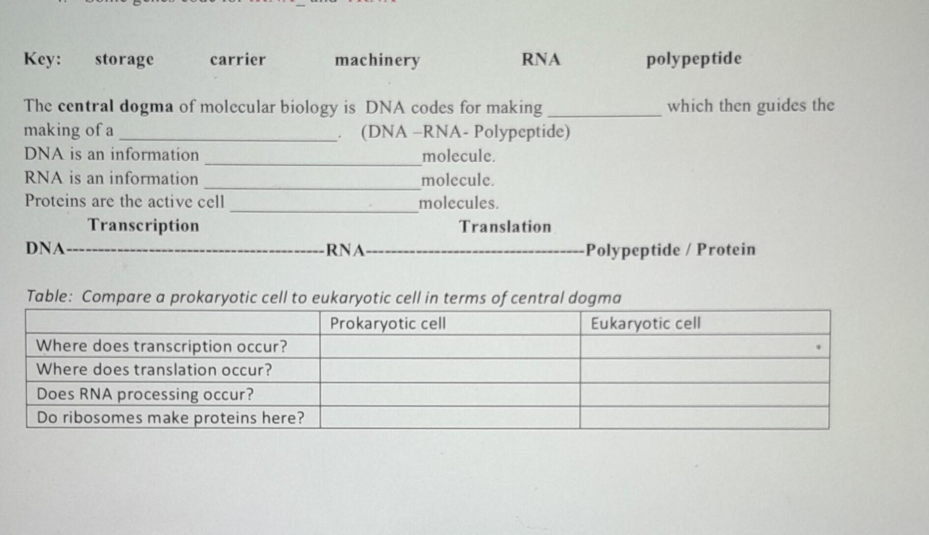 Solved The central dogma of molecular biology is DNA codes | Chegg.com