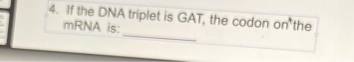 Solved 4. If the DNA triplet is GAT, the codon on the mRNA | Chegg.com
