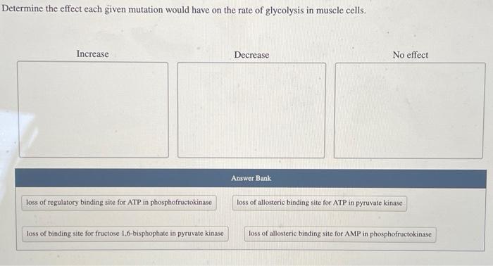 Solved Determine The Effect Each Given Mutation Would Have