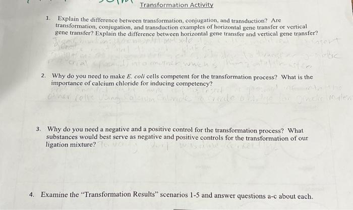 Solved 1. Explain the difference between transformation, | Chegg.com