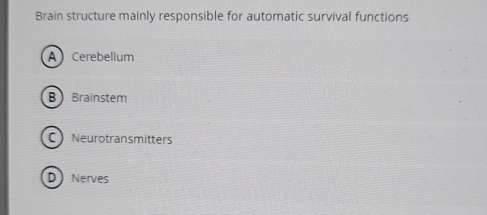 Solved Brain structure mainly responsible for automatic | Chegg.com