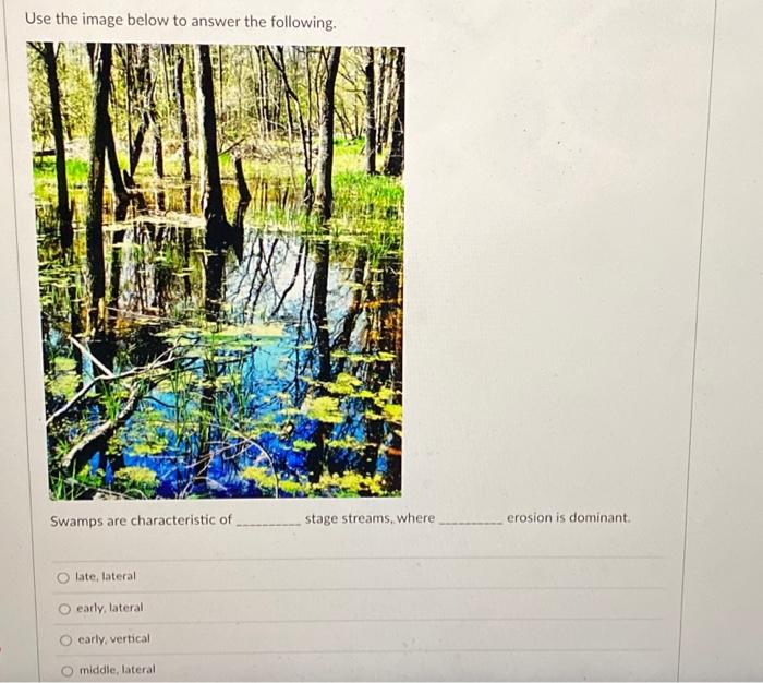 Solved Use the image below to answer the following. Swamps | Chegg.com