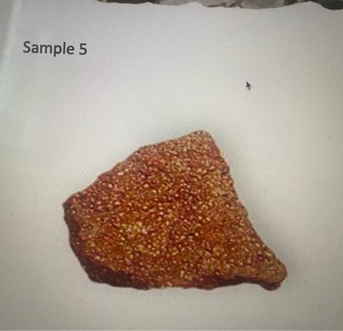 Solved Sample # Grain size: Grain shape: angular subangular | Chegg.com
