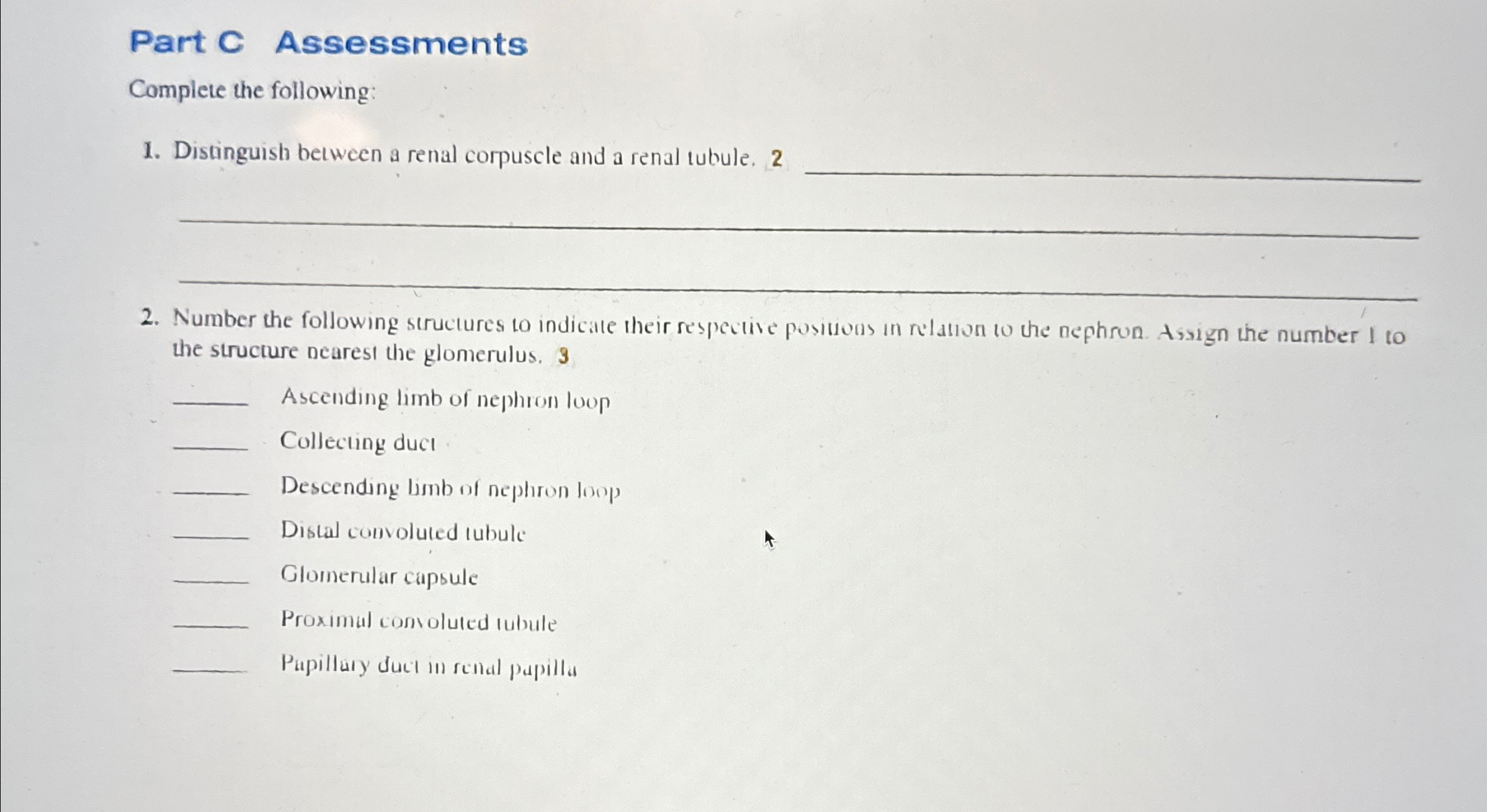Solved Part C AssessmentsComplete the following:Distinguish | Chegg.com Solved Part C AssessmentsComplete the following:Distinguish | Chegg.com