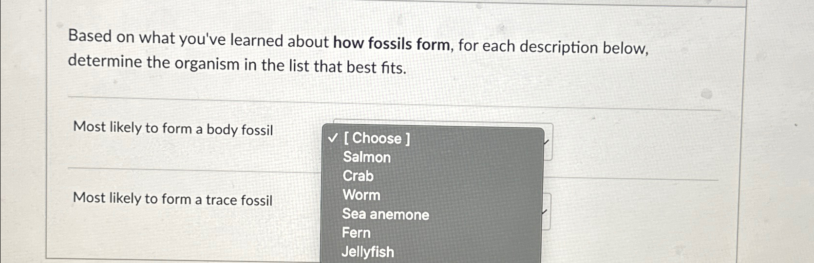 Solved Based on what you've learned about how fossils form, | Chegg.com