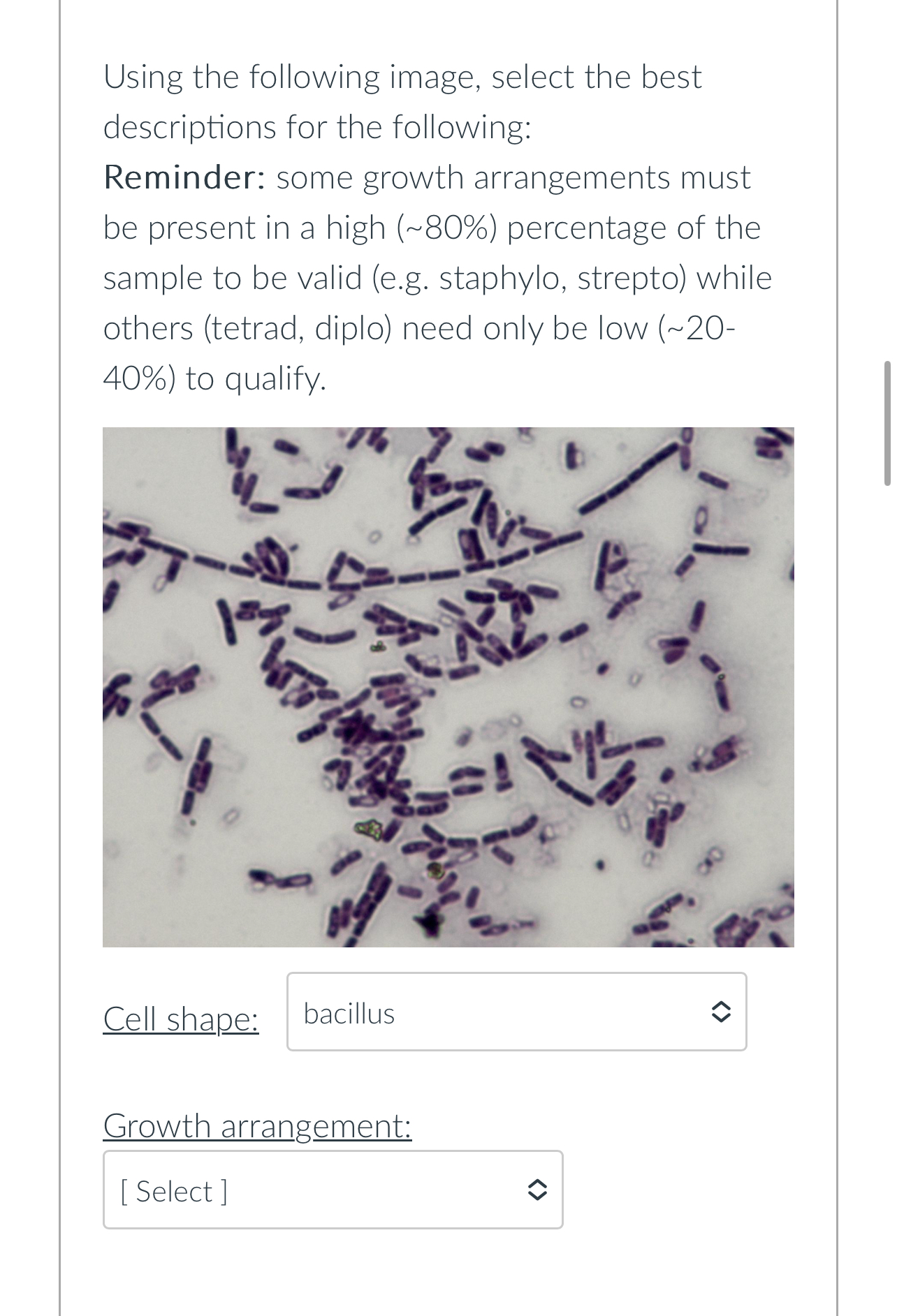 Solved Using the following image, select the best | Chegg.com