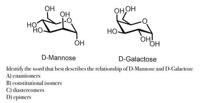 Solved Identify the word that best describes the | Chegg.com