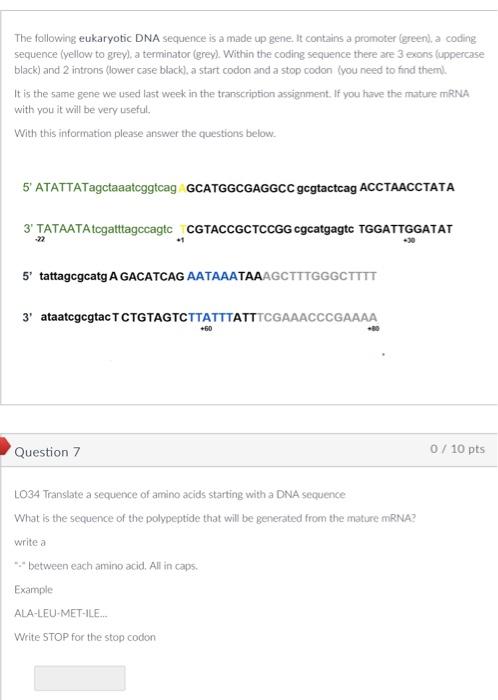 Solved The following eukaryotic DNA sequence is a made up | Chegg.com
