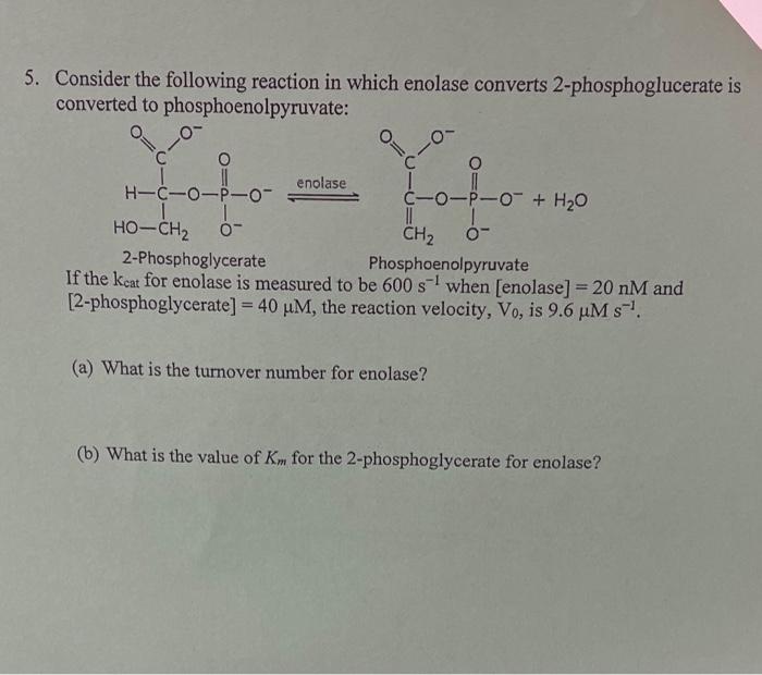 Solved 5. Consider the following reaction in which enolase | Chegg.com