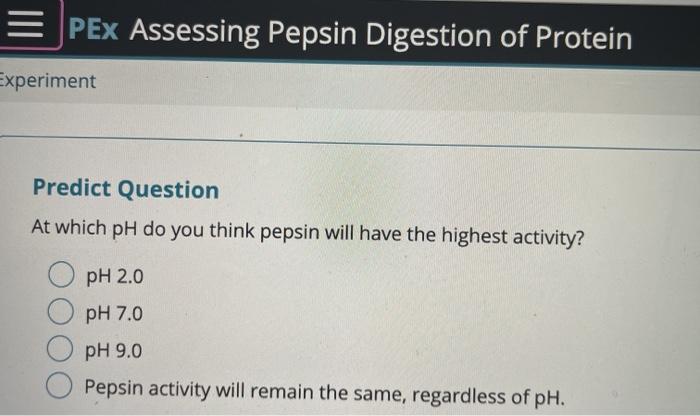 Solved PEx Assessing Pepsin Digestion of Protein Experiment | Chegg.com