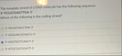 Solved The template strand of a DNA molecule has the | Chegg.com